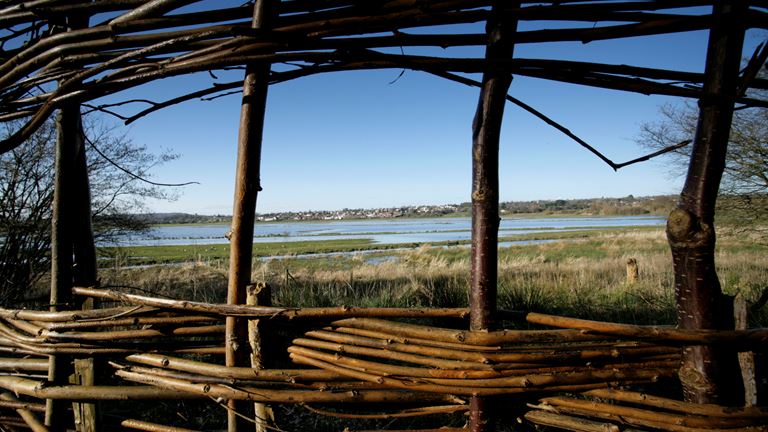 Pulborough Brooks Nature Reserve