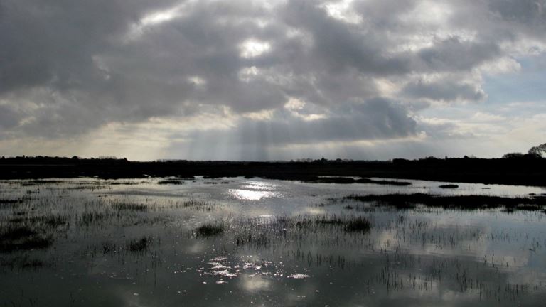 Pagham Harbour Local Nature Reserve