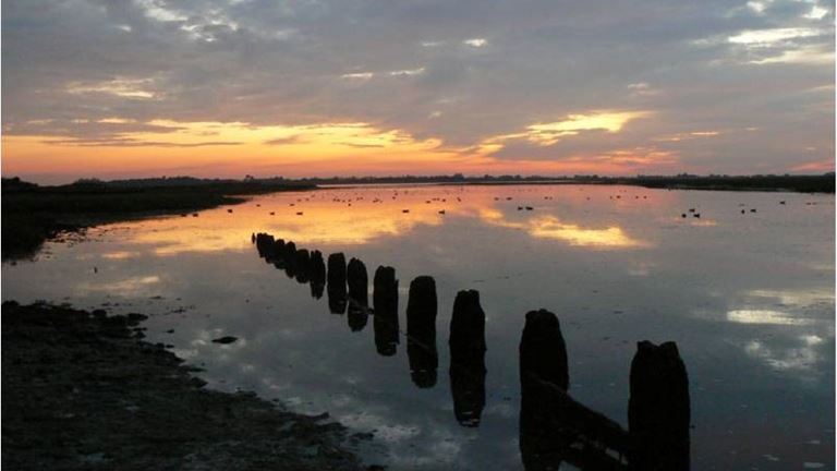 Pagham Harbour Local Nature Reserve
