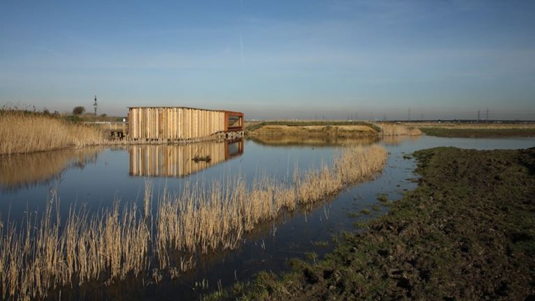 Rainham Marshes Nature Reserve