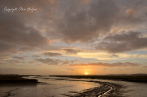 Steve Hedges Photography | Naturebreak