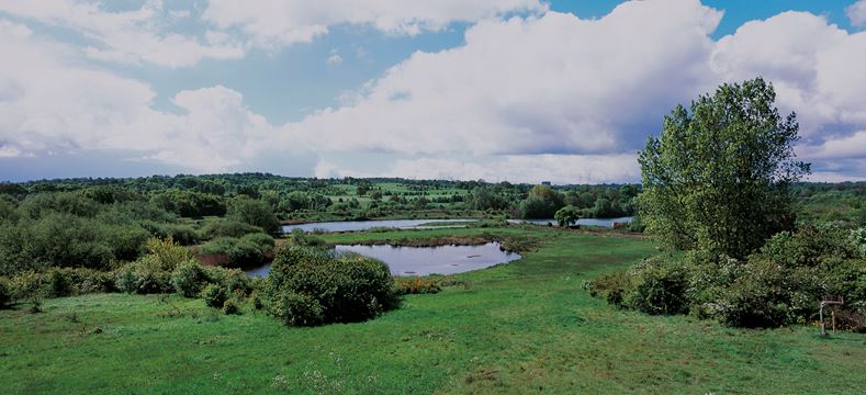 Sandwell Valley Nature Reserve