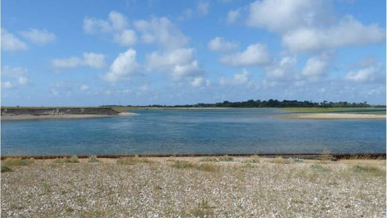 Pagham Harbour Local Nature Reserve