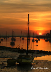 Steve Hedges Photography | Naturebreak