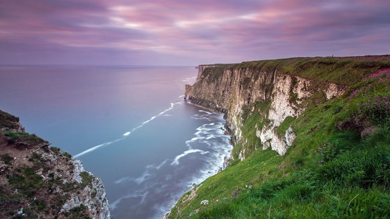 Bempton Cliffs Nature Reserve